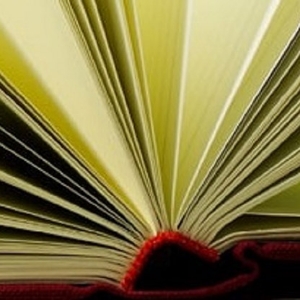 Woodland Paper Storefront